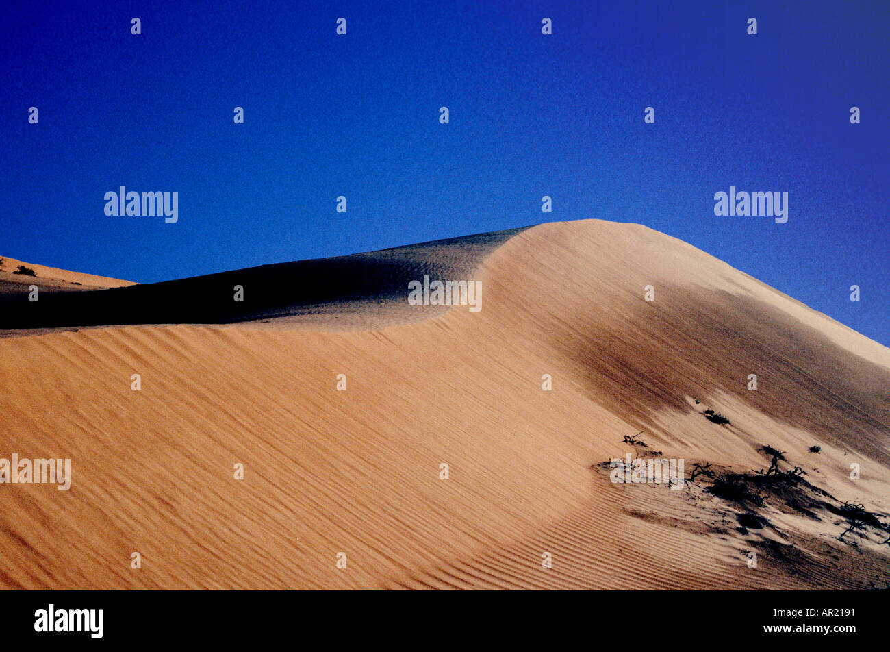 Sand Dune In Wahiba Sands In Oman Stock Photo - Alamy