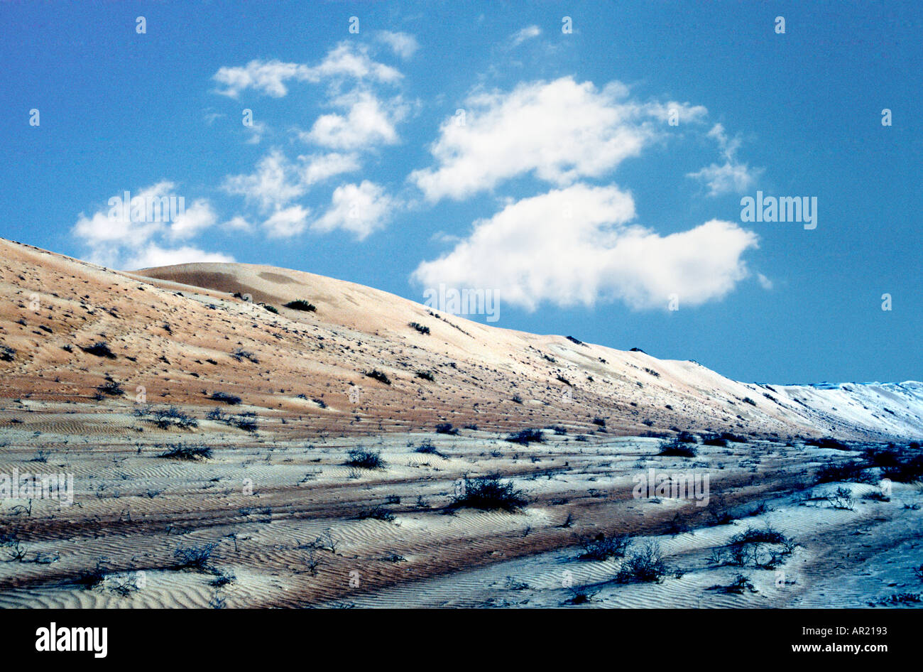 Bidiya hi-res stock photography and images - Alamy