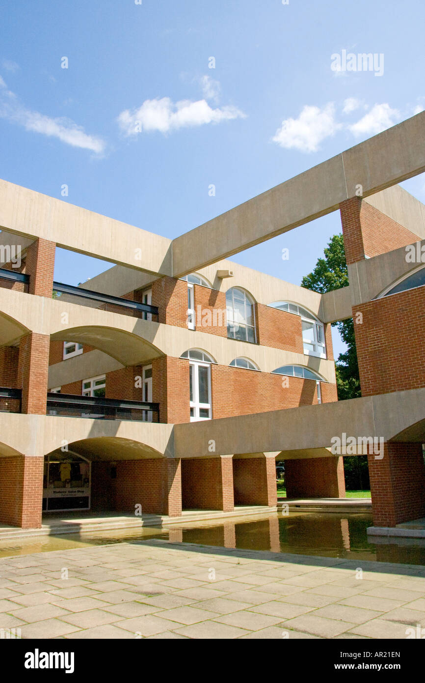 Summer view of the Falmer House building University of Sussex Stock ...