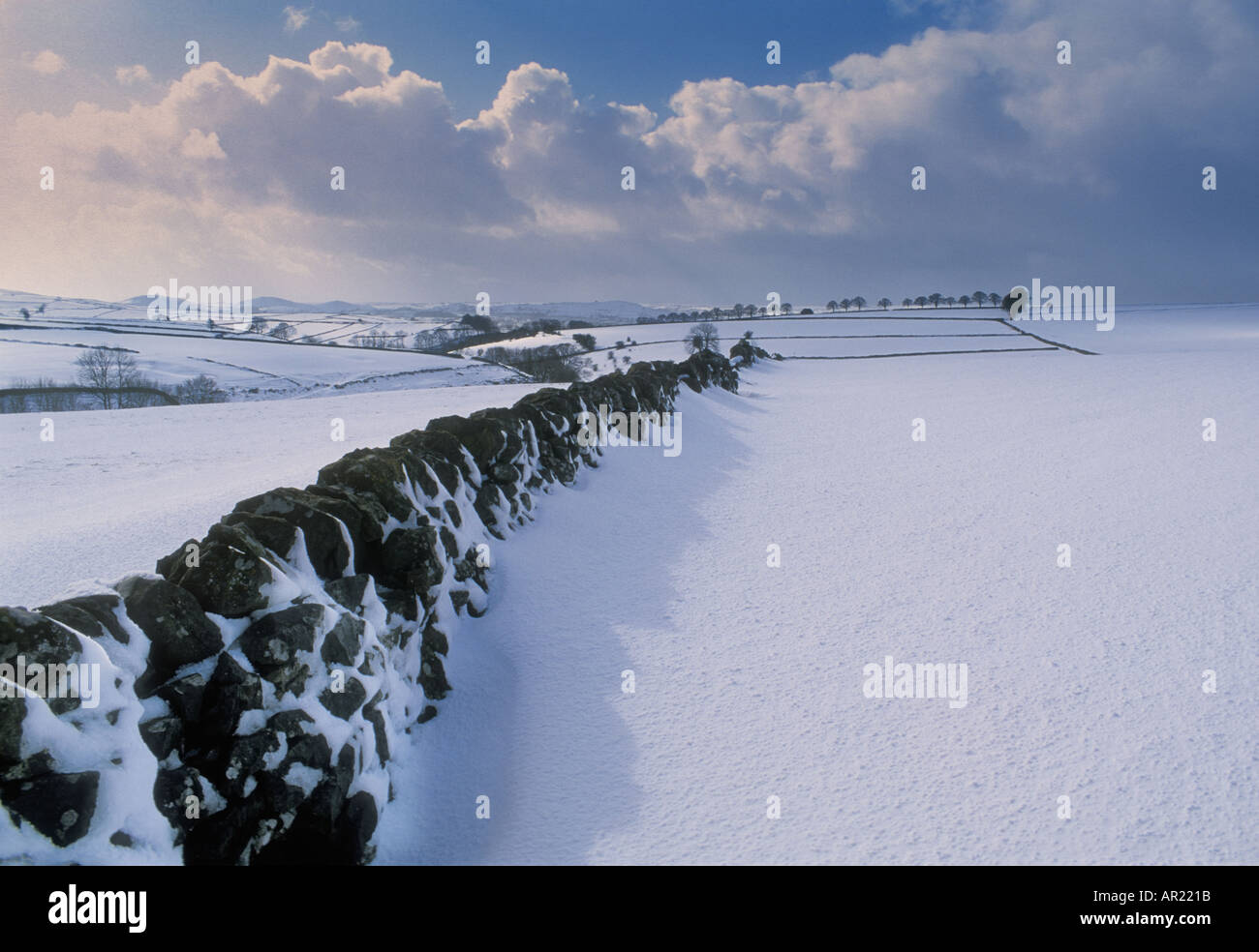 Snow on the dry stone walls near the Tissington trail Hartington Peak ...