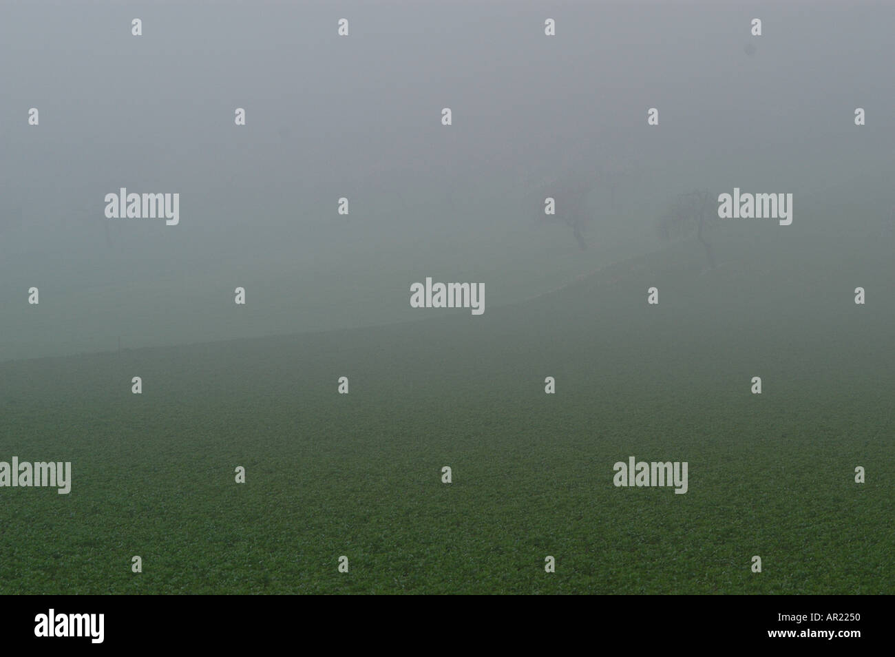 Fog lingering over Majorca's interior farms and fields Stock Photo - Alamy