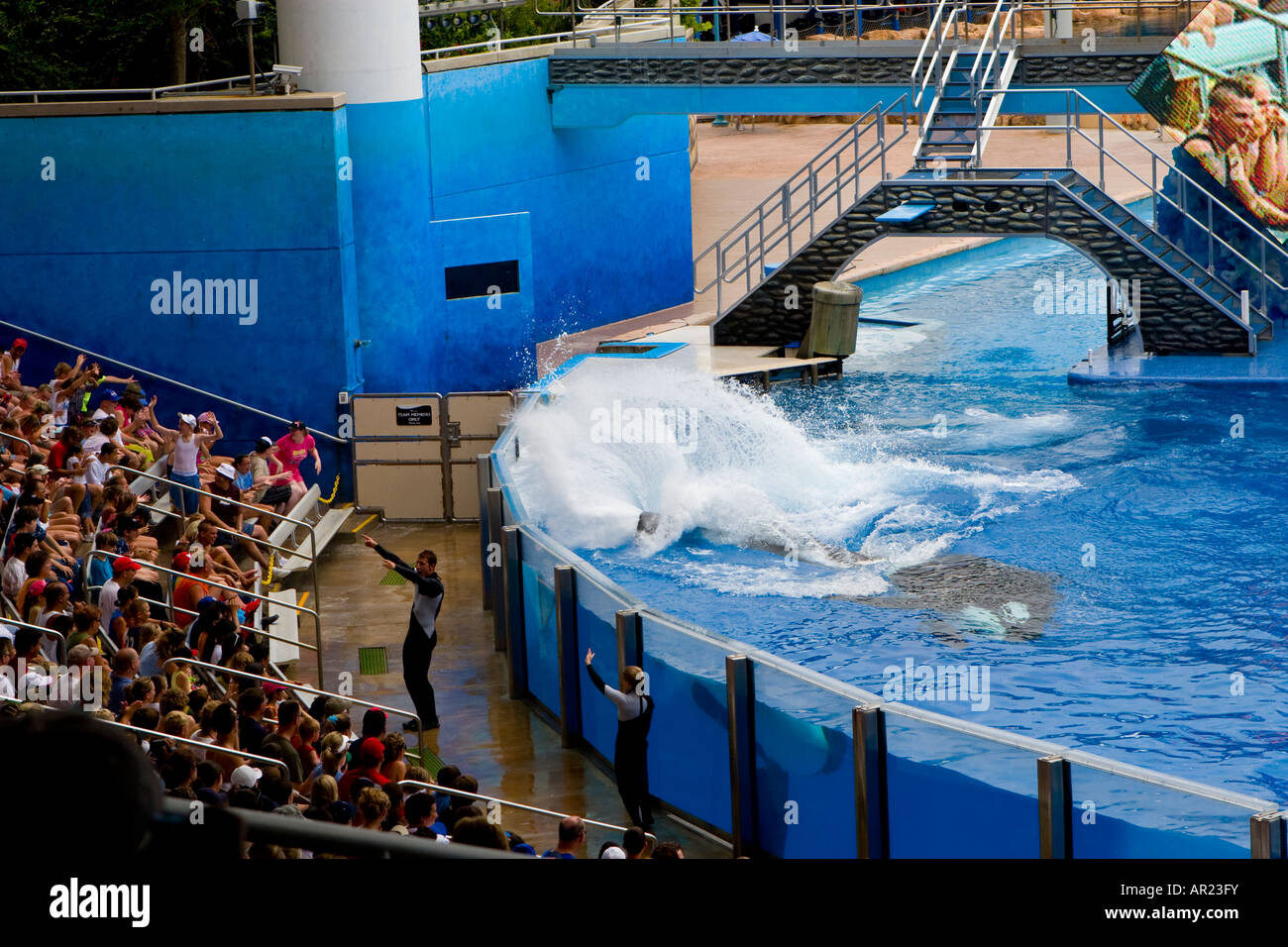 Shamu the Killer Whale at Seaworld, Orlando Florida USA Stock Photo - Alamy