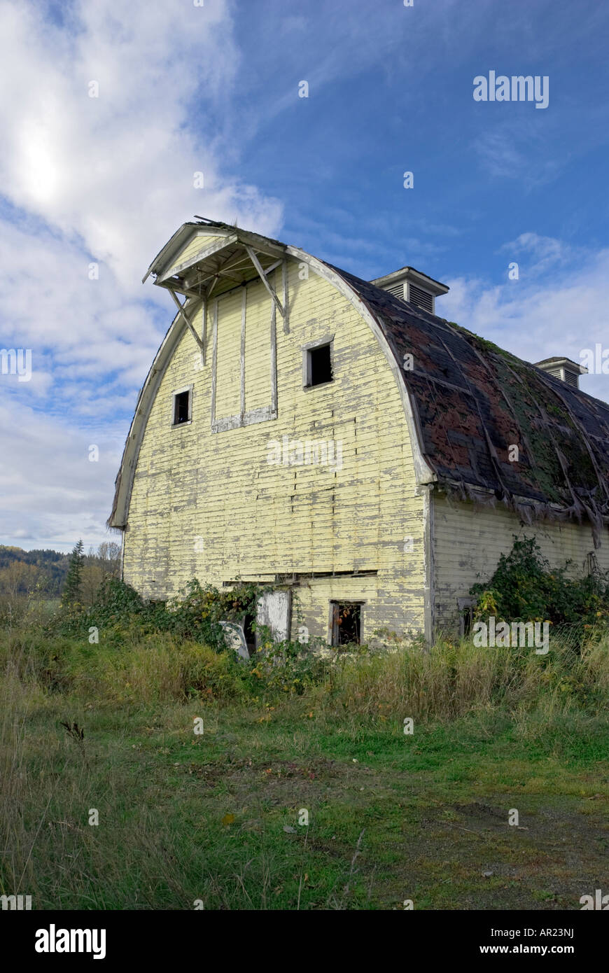 old decrepit barn in Carnation Washington Stock Photo - Alamy