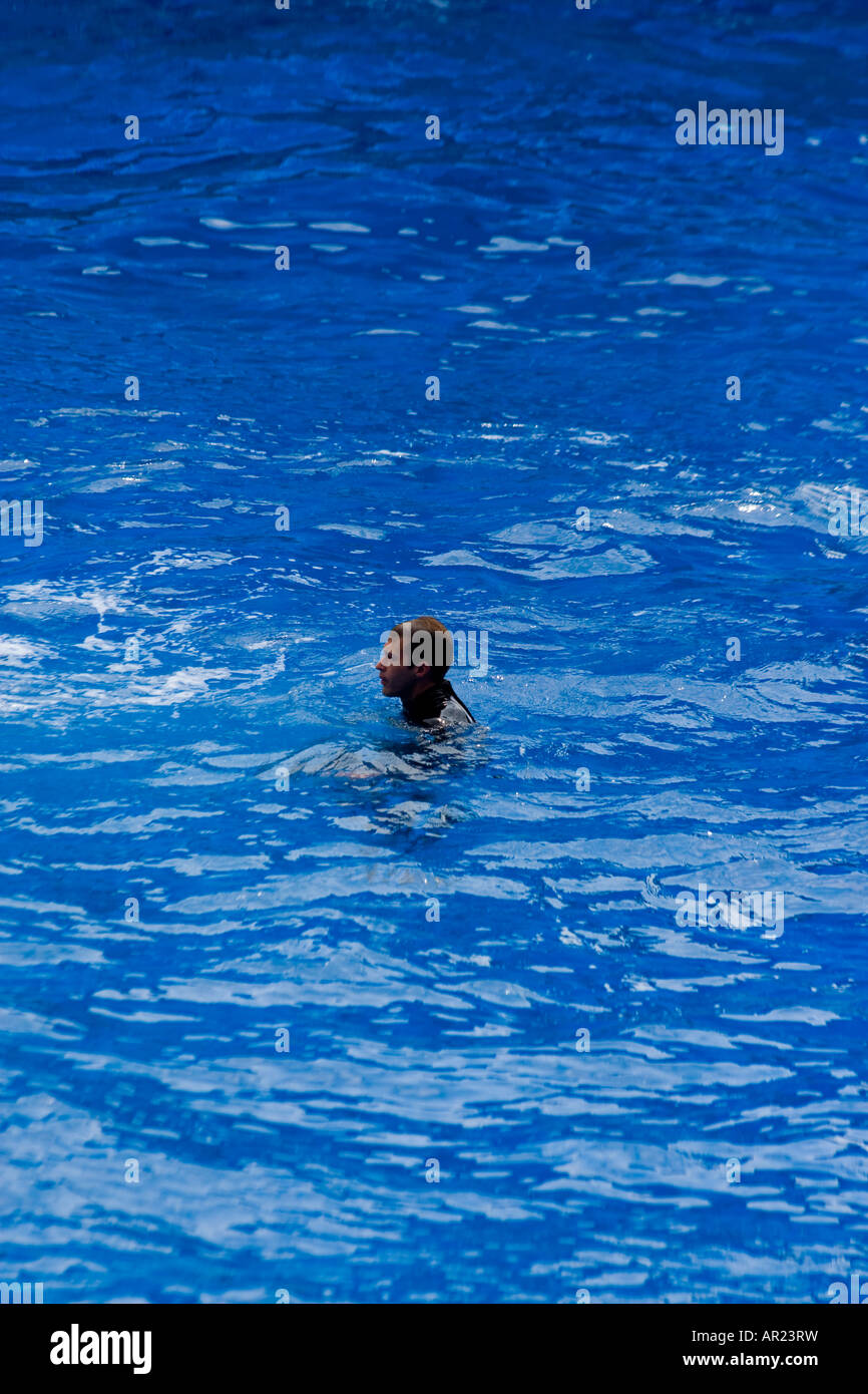 Shamu the Killer Whale Trainer in Tank at Seaworld, Orlando Florida USA ...