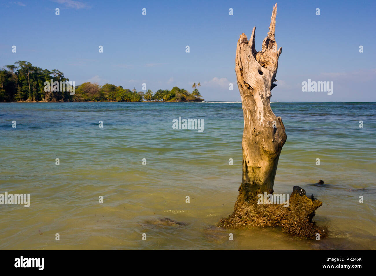 Panama bocas del toro isla carenero hi-res stock photography and images ...