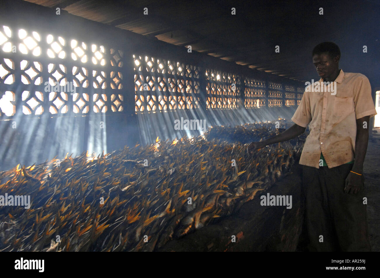 Fish being smoked, Tanji, The Gambia, West Africa Stock Photo - Alamy