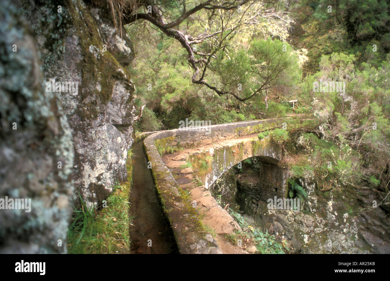 Levadas hi-res stock photography and images - Alamy