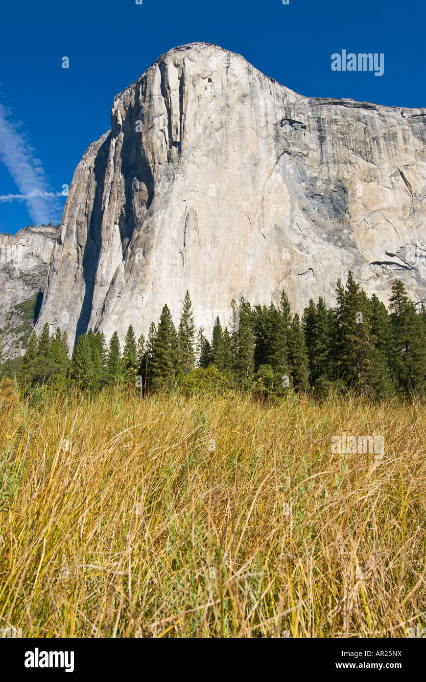 Autumn view of El Capitan from El Capitan meadow in Yosemite valley ...