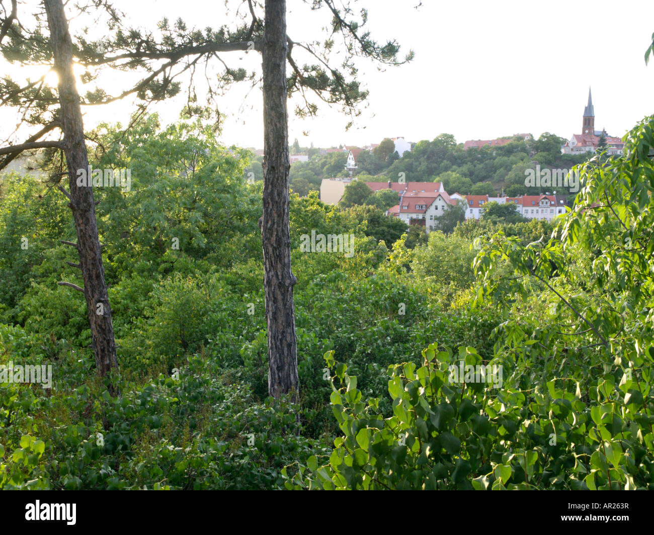 Amtsgarten, Halle an der Saale, Germany Stock Photo - Alamy