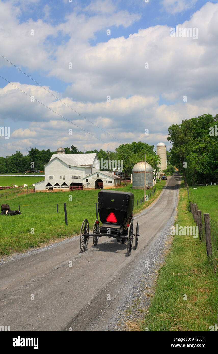 Mennonite Buggy in the Shenandoah Valley of Virginia, USA Stock Photo ...