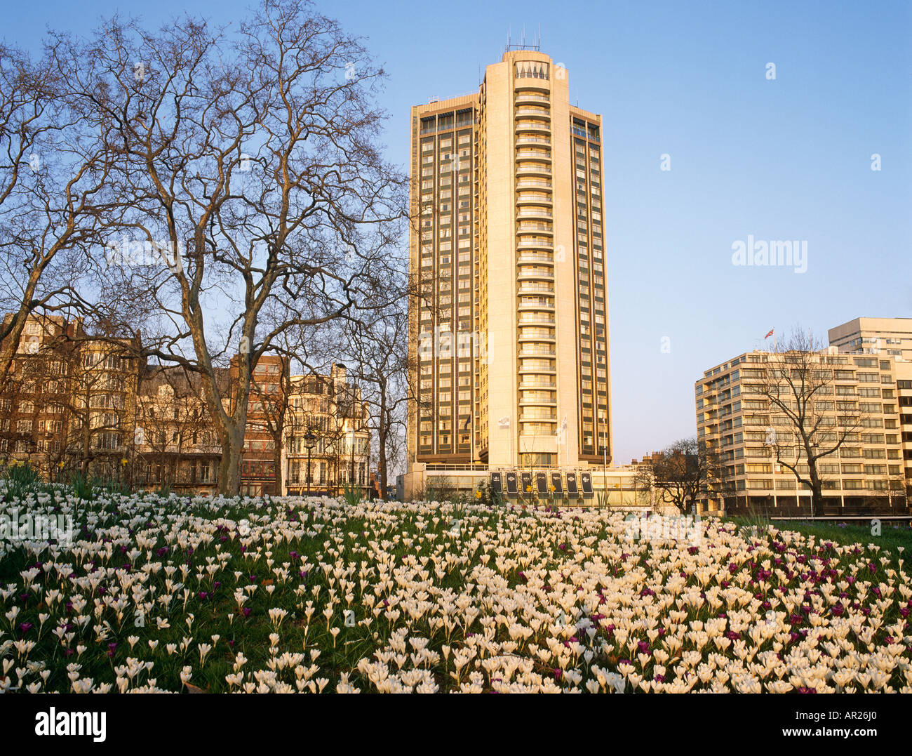 Spring In Park Lane Hyde Park London UK Europe Stock Photo - Alamy