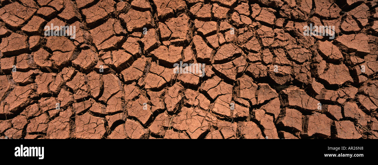 Africa Kenya Samburu National Reserve Detail of cracked mud surface of ...