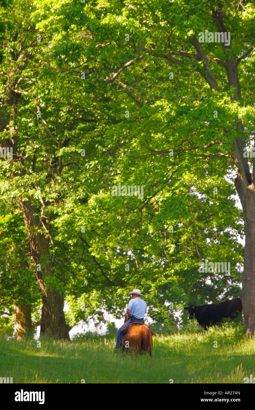 Cowboy ridge hi-res stock photography and images - Alamy