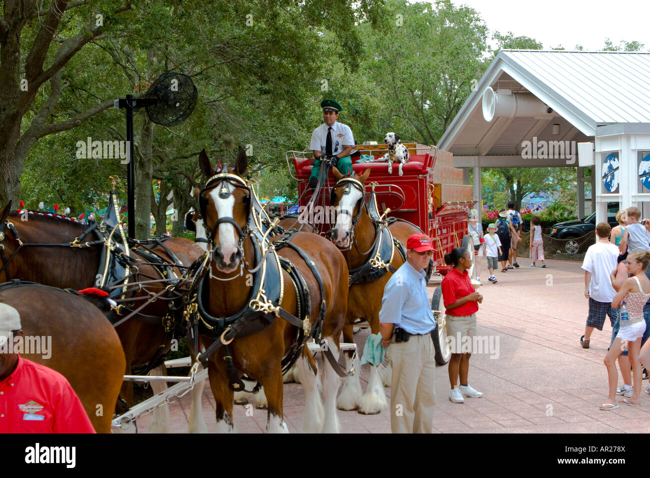 Anheuser Busch's Budweiser Clydesdale Horse Wagon at Seaworld Orlando ...