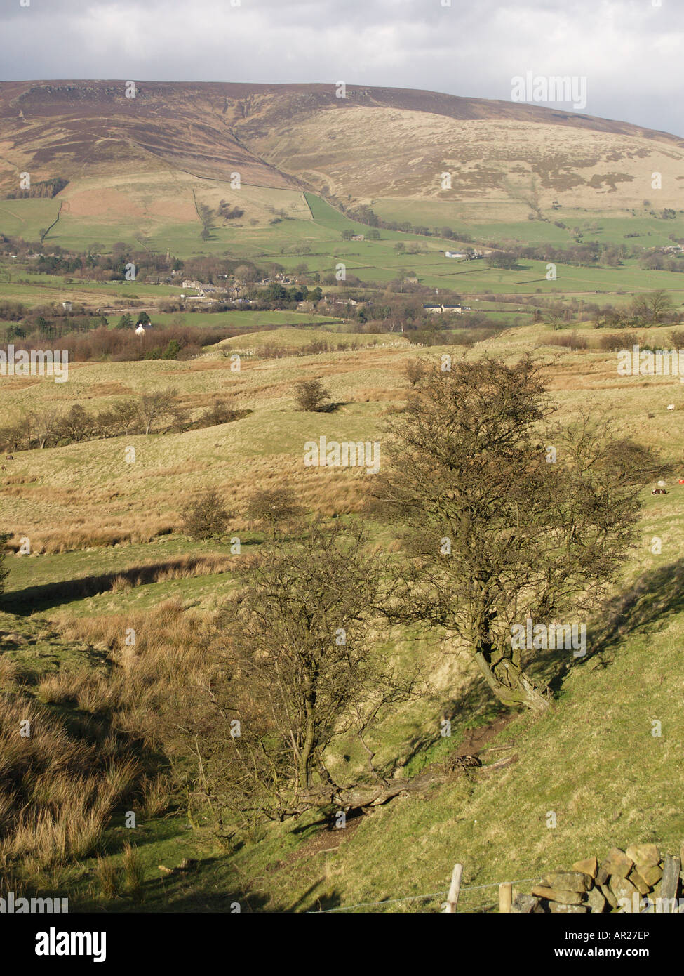 sheep farming upland valley peak farmland fields Stock Photo - Alamy