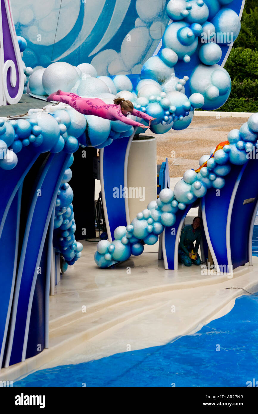 Seaworld Trainer Performer Diving in Tank Pool Stock Photo - Alamy