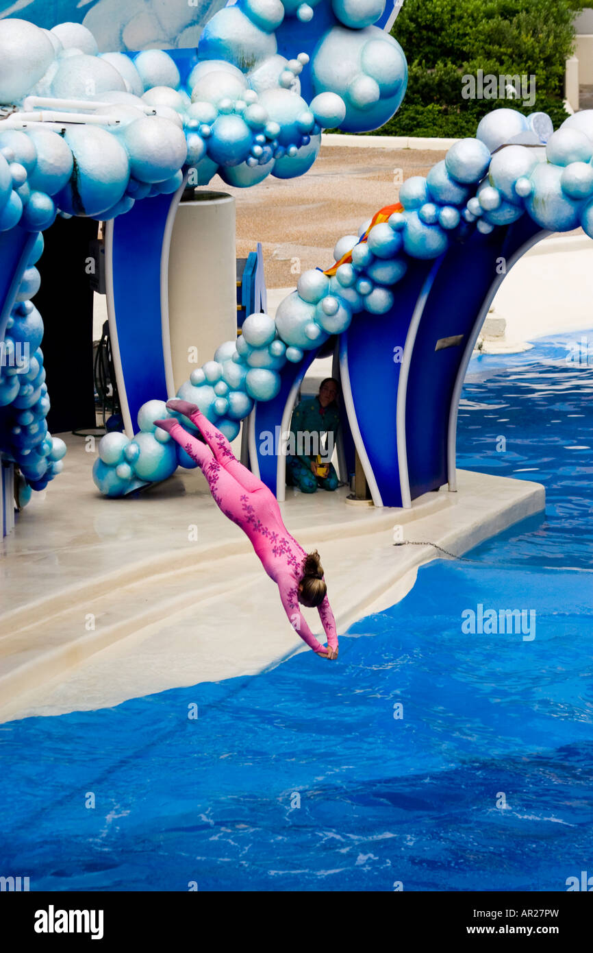 Seaworld Trainer Performer Diving in Tank Pool Stock Photo - Alamy