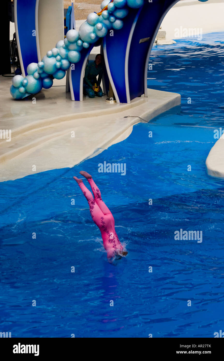 Seaworld Trainer Performer Diving in Tank Pool Stock Photo - Alamy