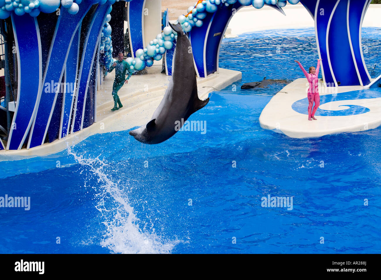 Dolphin trainer sea world hi-res stock photography and images - Alamy