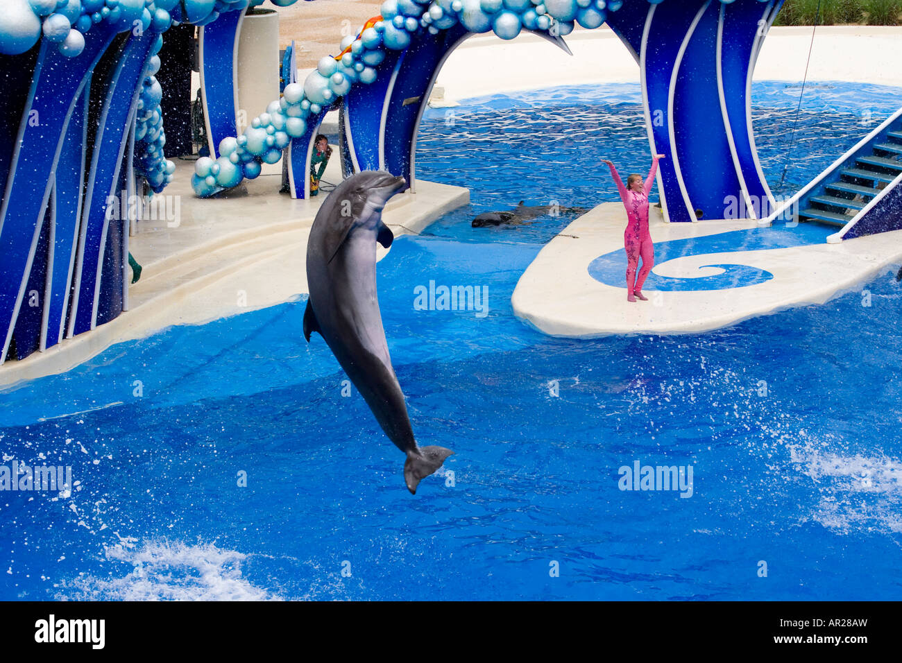 Seaworld Trainers with Whale Dolphin Stock Photo - Alamy