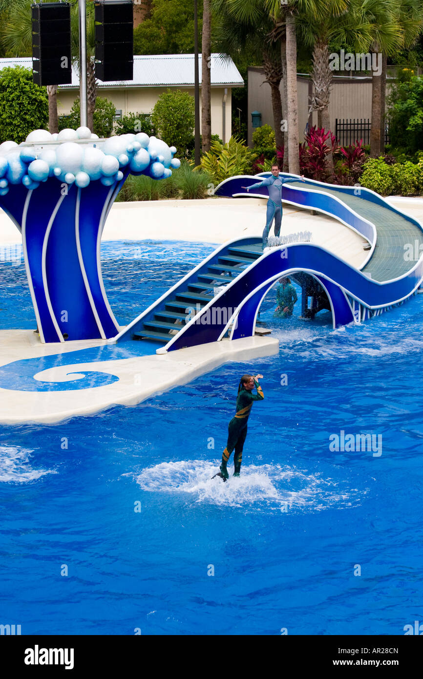 Seaworld Trainer Standing on nose Dolphins Stock Photo - Alamy