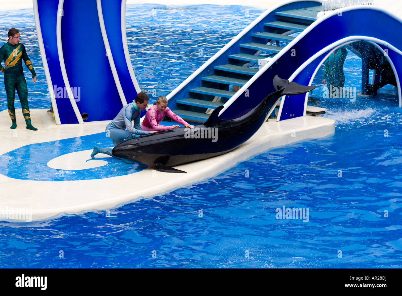 Seaworld orlando dolphin hi-res stock photography and images - Alamy