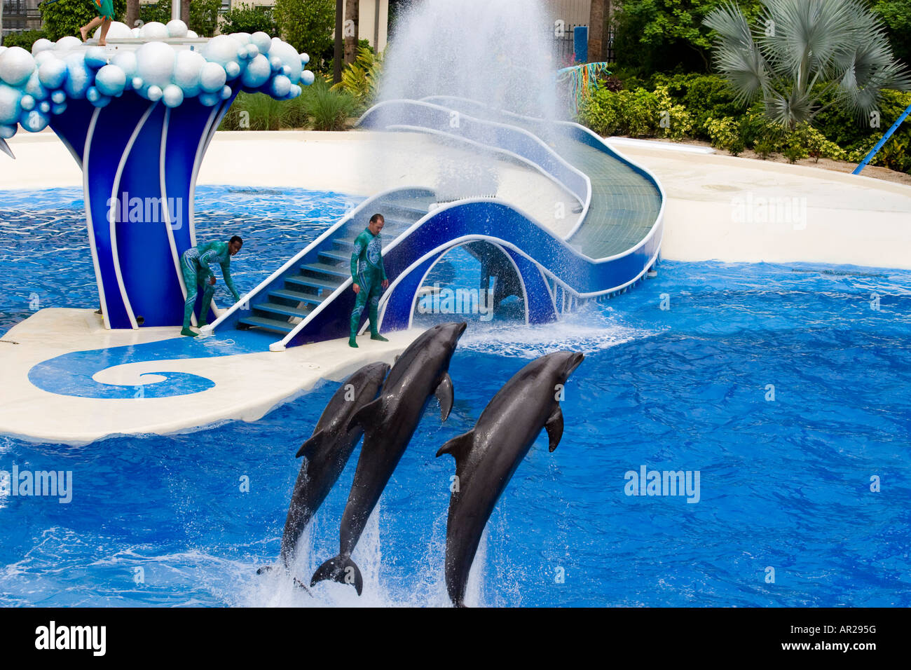 Dolphin show trained hi-res stock photography and images - Alamy
