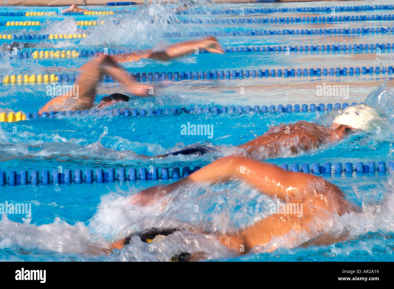 swim race in Olympic pool Stock Photo - Alamy