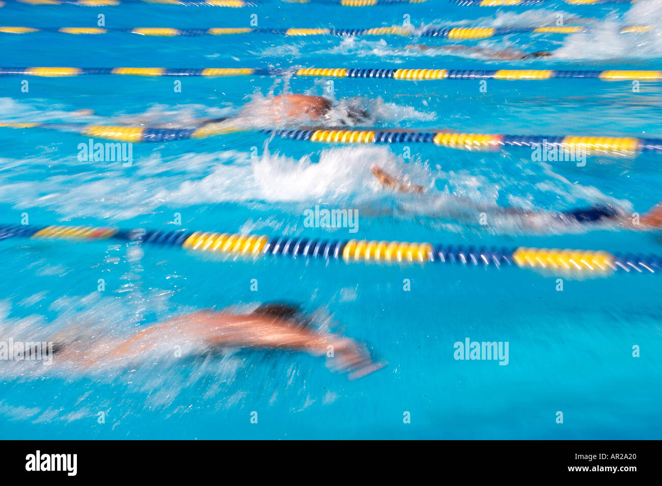 swim race in Olympic pool Stock Photo - Alamy