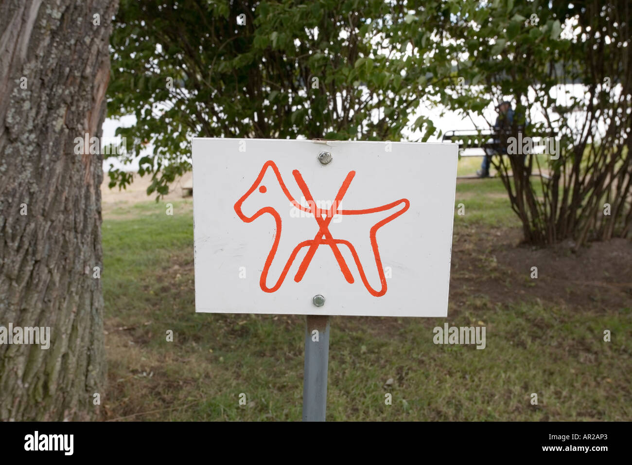 no dogs allowed sign in park Stock Photo - Alamy