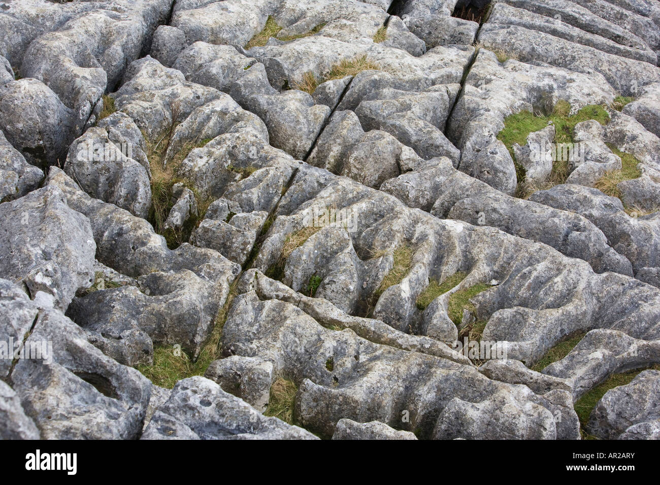 Limestone pavement above Malham Cove Yorkshire Dales National Park ...