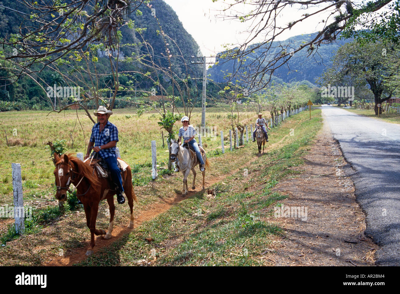 Tourists Riding Horses With Guide On the Road To Vinalles Cuba ...