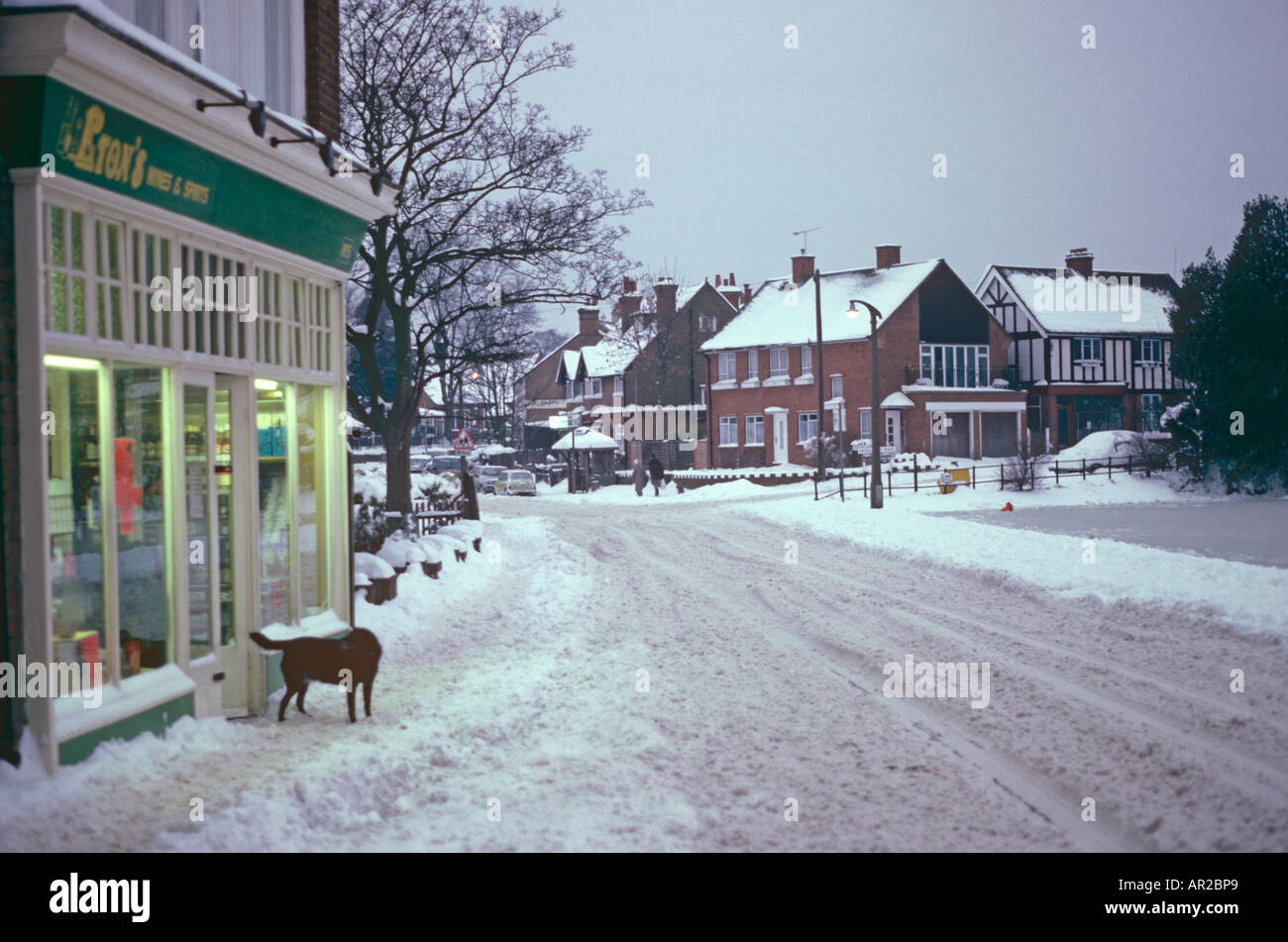 Walton On The Hill In Winter Surrey UK Stock Photo - Alamy