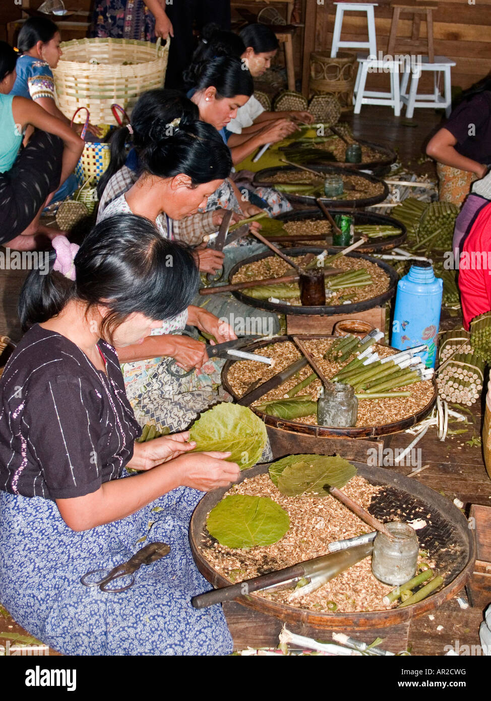 cheroot cigar rollers on assembly line at a factory on Inle Lake in ...