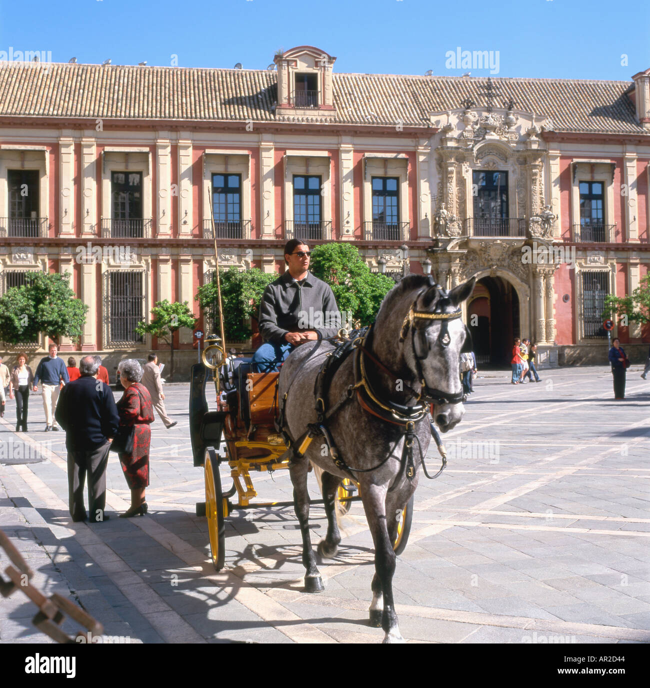 Women in horse carriage driven by man hi-res stock photography and ...