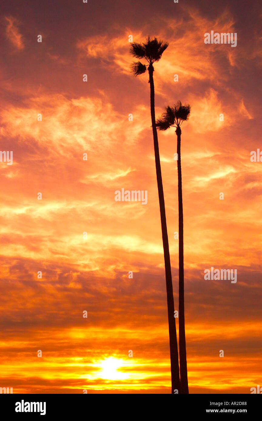 sunset twin palms Stock Photo - Alamy