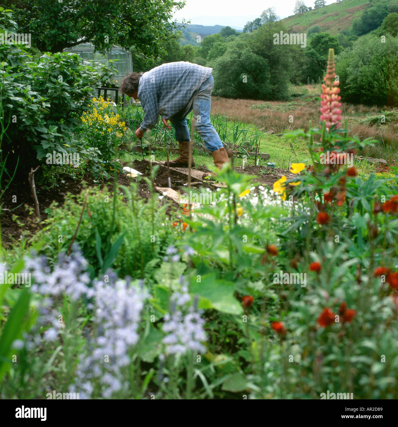 Sowing seeds garden border hi-res stock photography and images - Alamy
