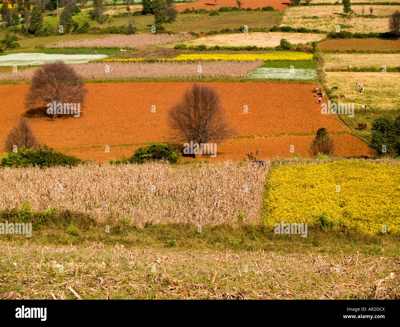 Beautiful landscape fields in shan hi-res stock photography and images ...