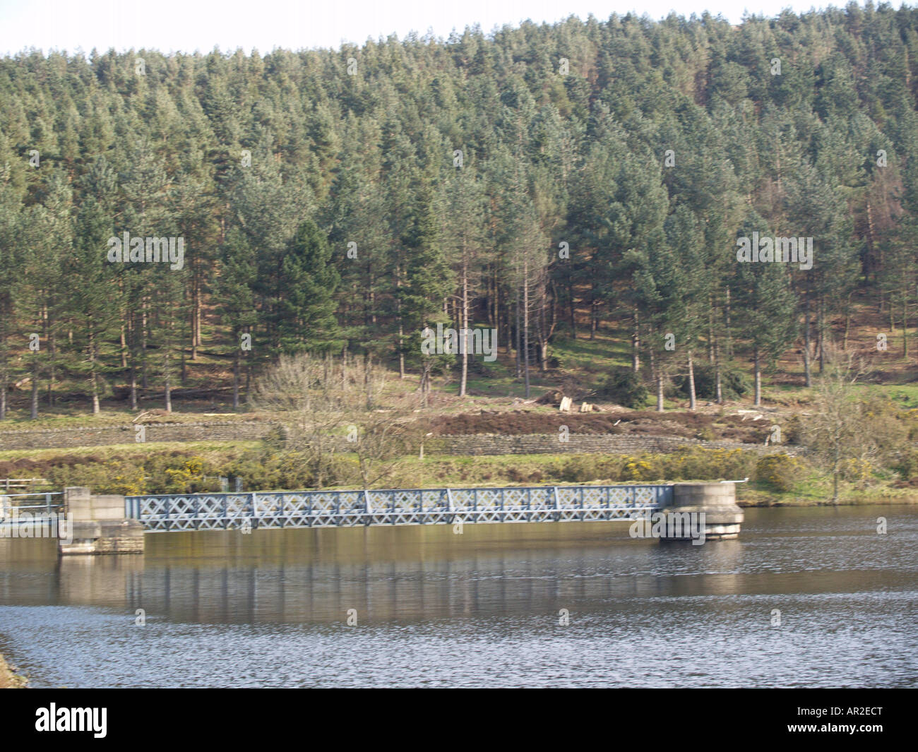reservoir water reflection ripples trees hillside Stock Photo - Alamy