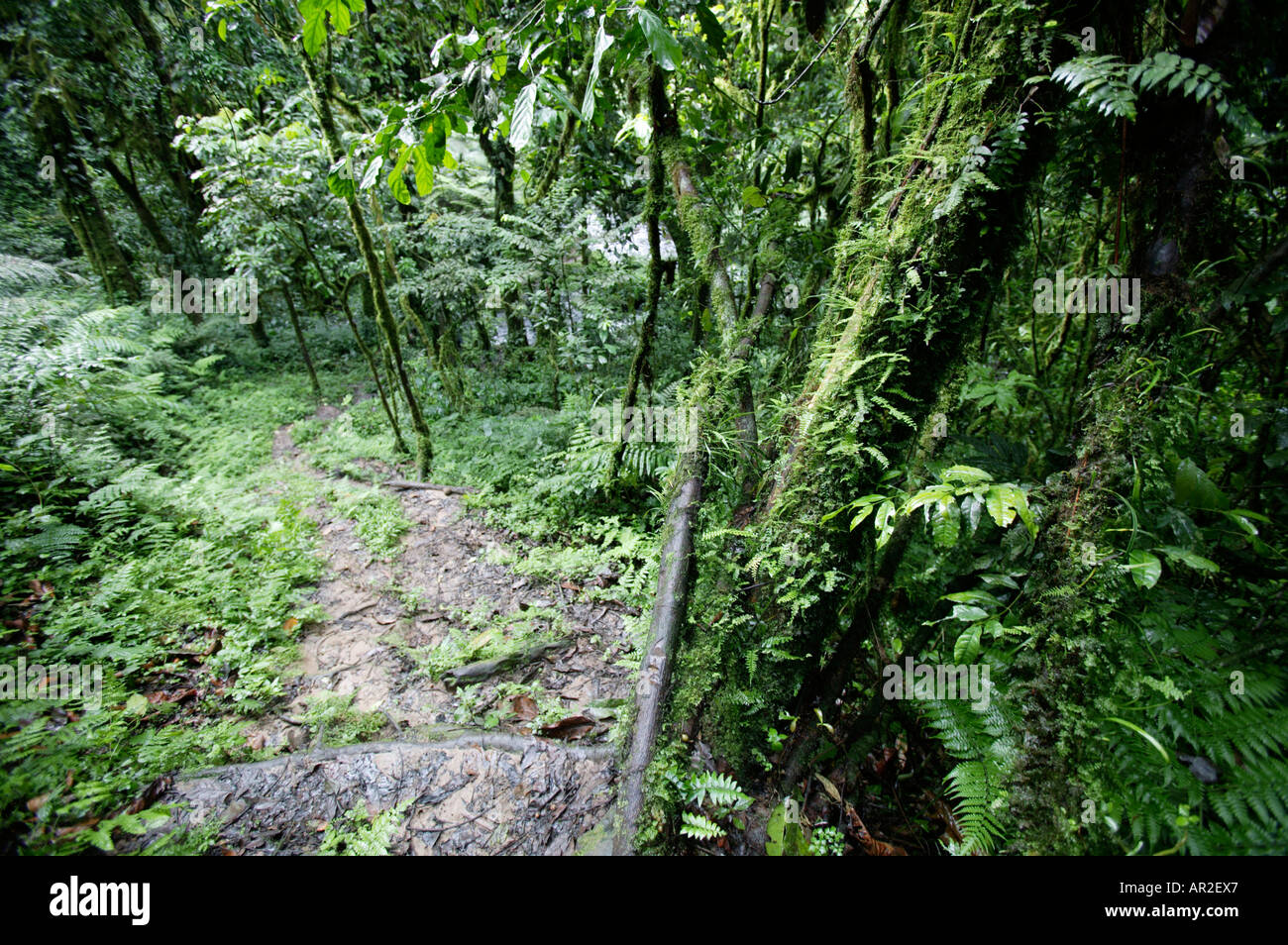 Impassable hiking trail hi-res stock photography and images - Alamy
