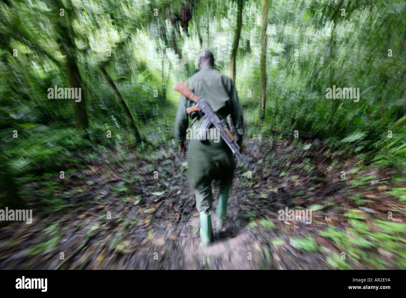 Africa Uganda Bwindi Impenetrable National Park Guard carrying AK 47 ...