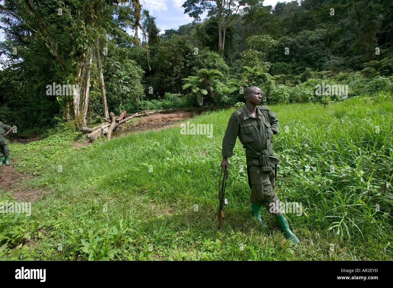 Africa Uganda Bwindi Impenetrable National Park Guard carrying AK 47 ...