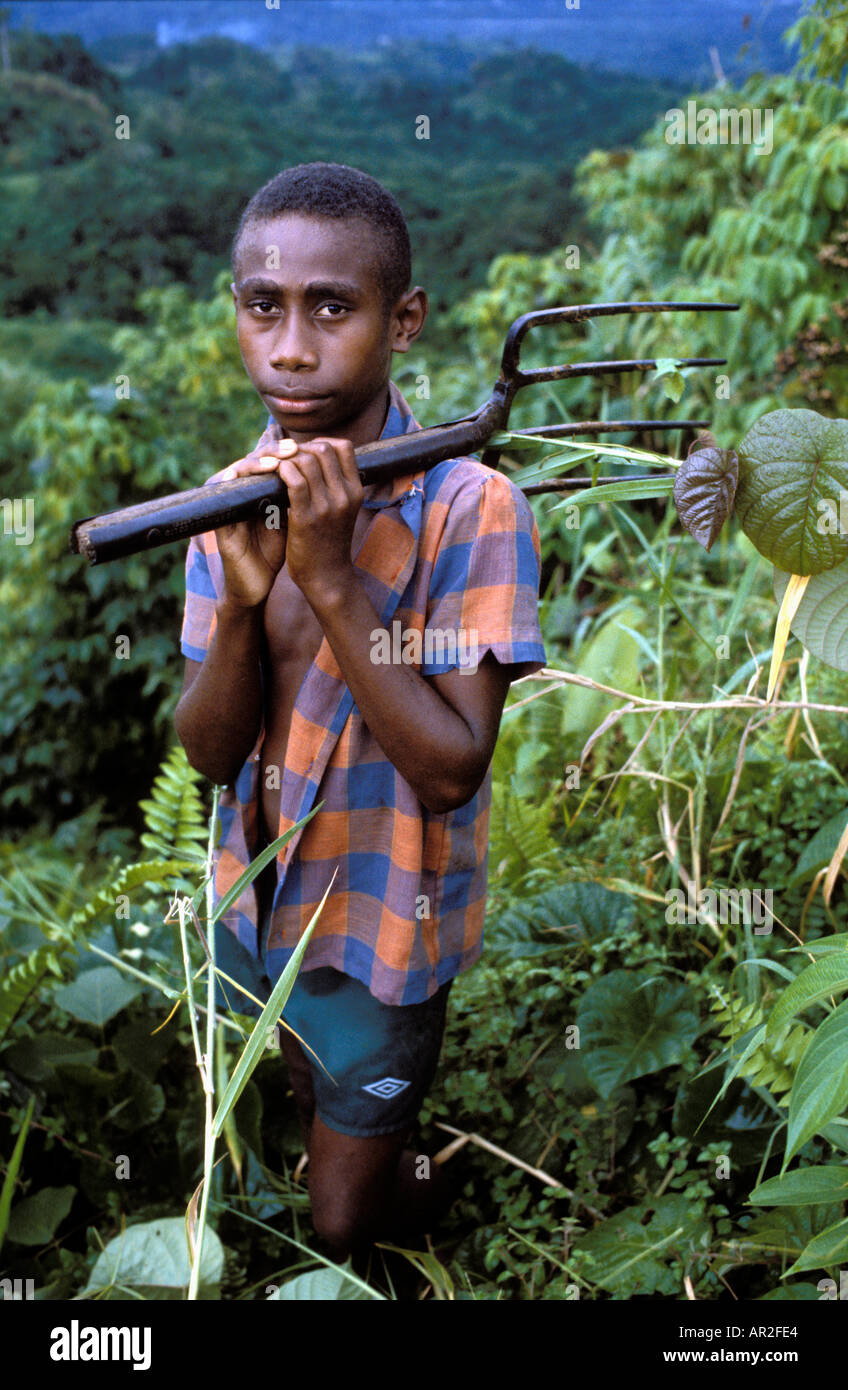 Teenage working forest hi-res stock photography and images - Alamy