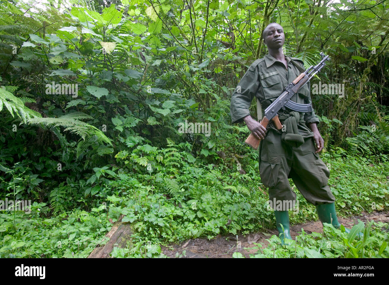 Africa Uganda Bwindi Impenetrable National Park Guard carrying AK47 ...