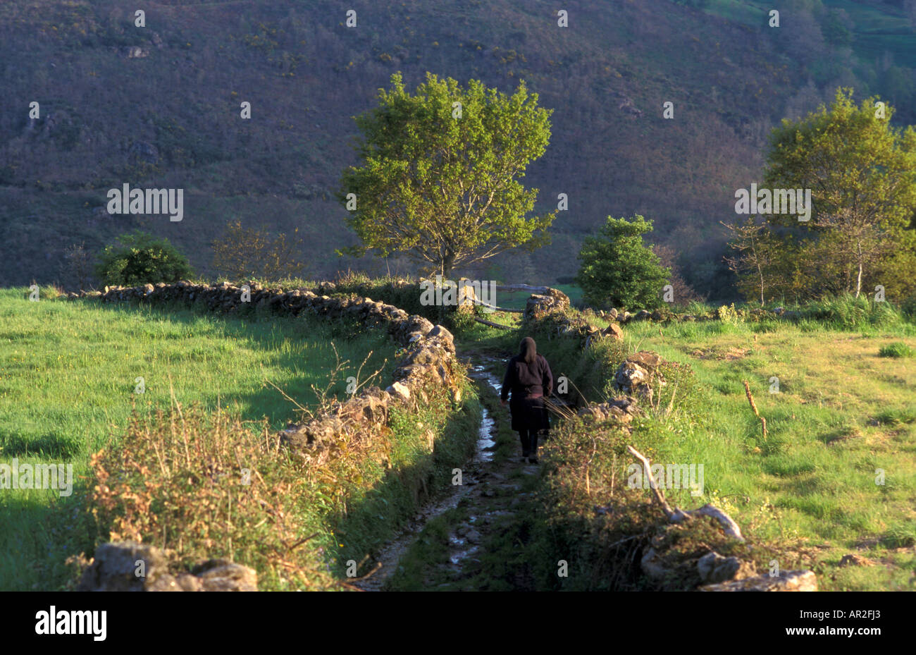 Narrow pass at Travassos, Serra do Geres, Portugal Stock Photo - Alamy