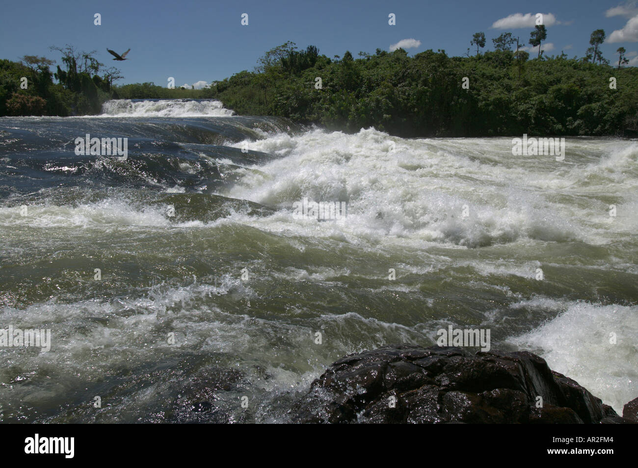 Africa Uganda Jinja Nile River flows over rapids at Bujagali Falls near ...