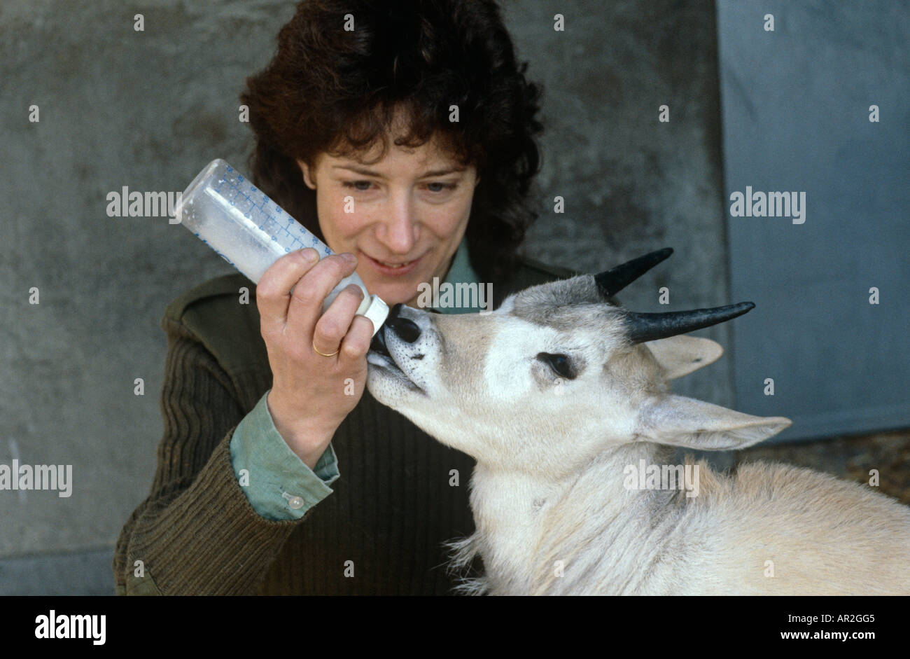 Handrearing hi-res stock photography and images - Alamy