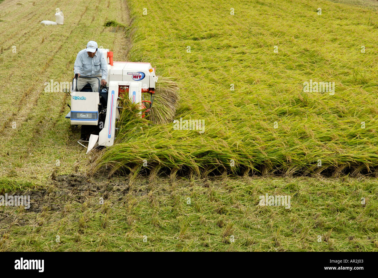 Japan rice harvester hi-res stock photography and images - Alamy