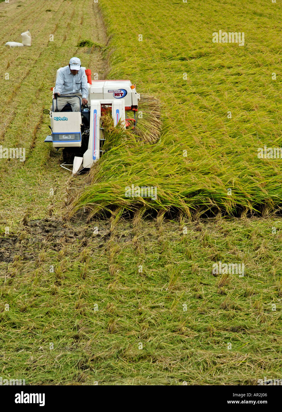 Japan rice harvester hi-res stock photography and images - Alamy