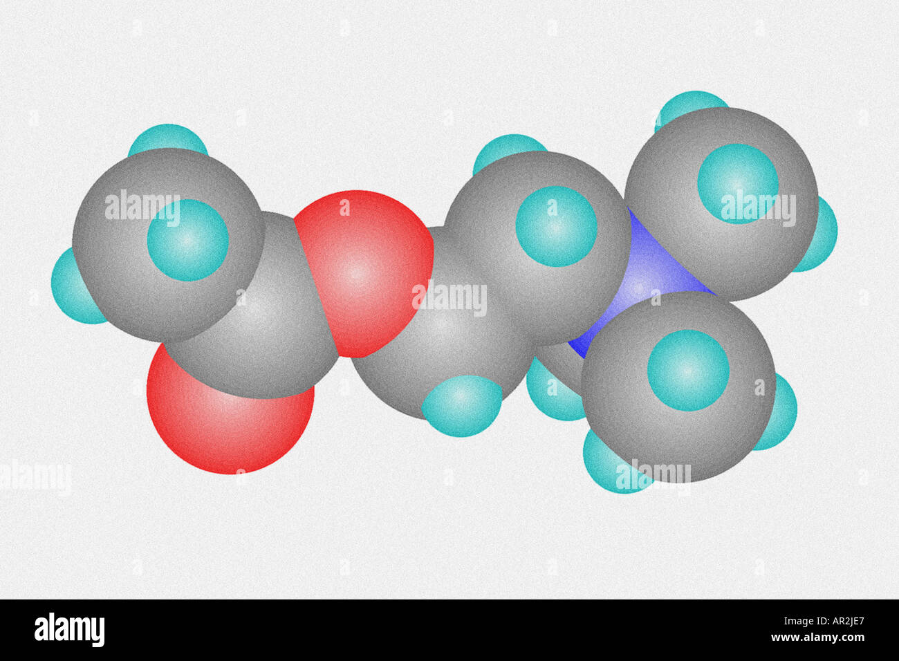 3D computer model of the acetylcholine molecule Stock Photo - Alamy